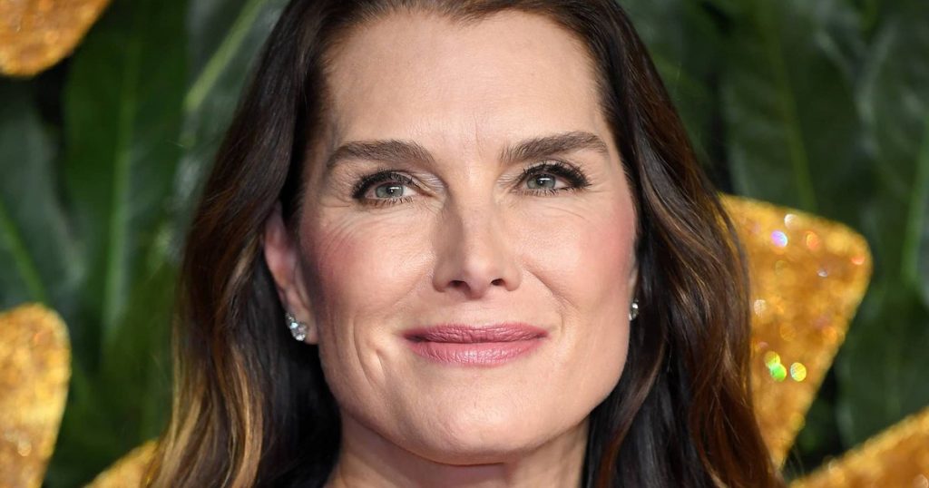 Sa fille a grandit une beauté ! Brooke Shields a fait une rare ...